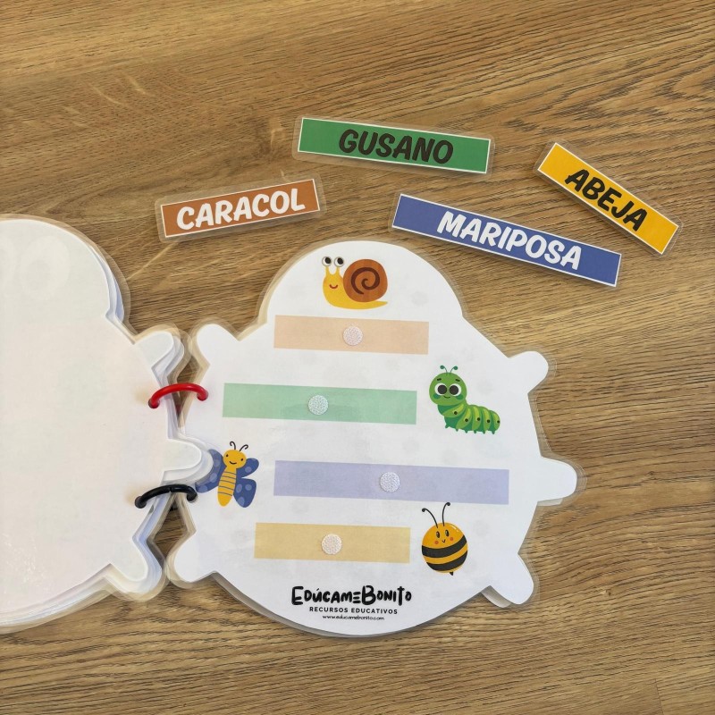 Dossier Primavera (mariquita) DESCARGABLE